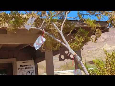 Poetree installation in Oatman, Arizona by Robert Matheson
