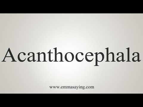 How To Say Acanthocephala