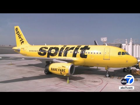 Spirit Airlines files for bankruptcy