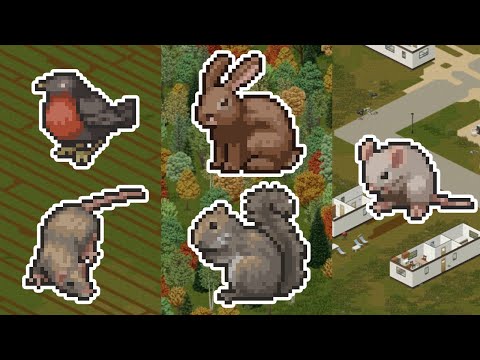 How to Catch EVERY Animal - Project Zomboid Trapping Guide