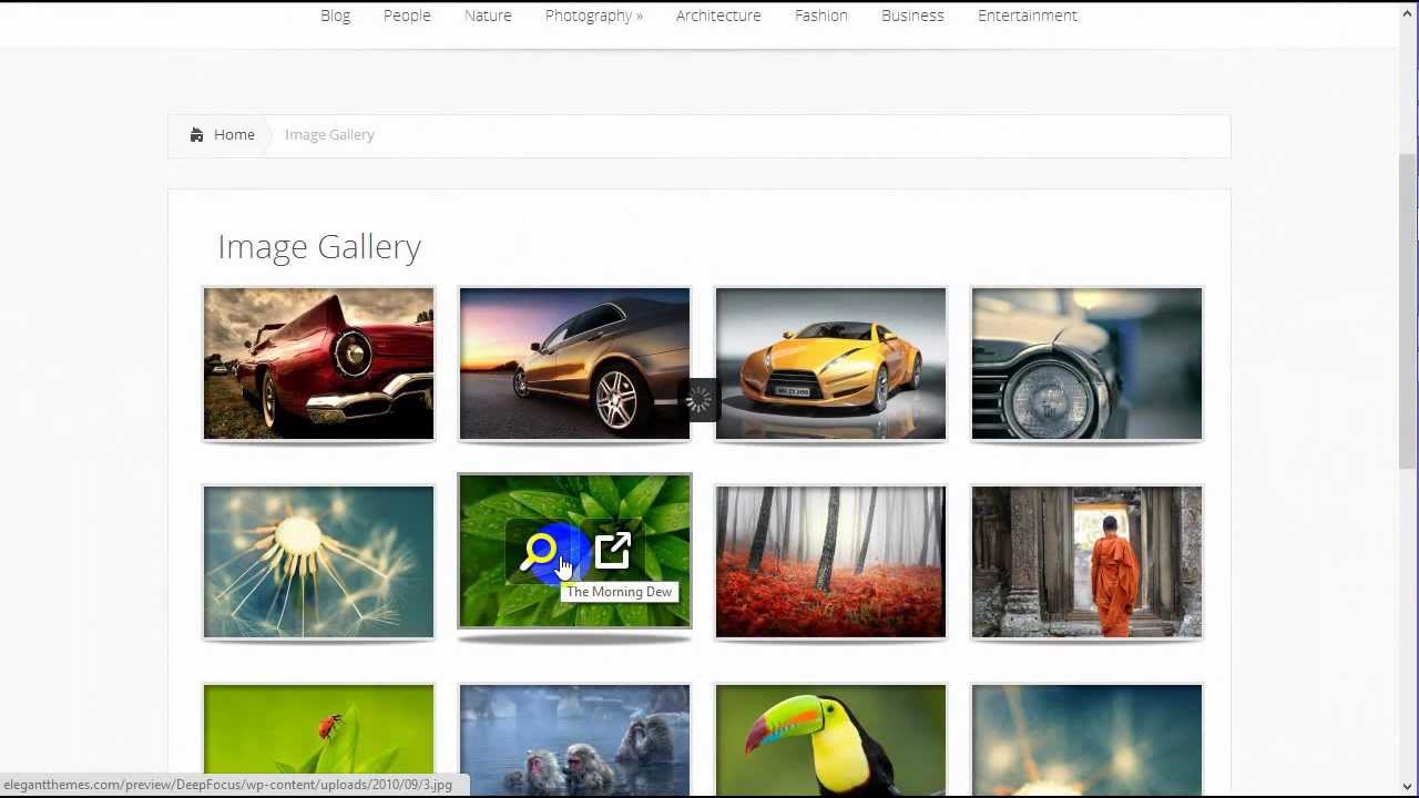 Lucid WordPress Theme