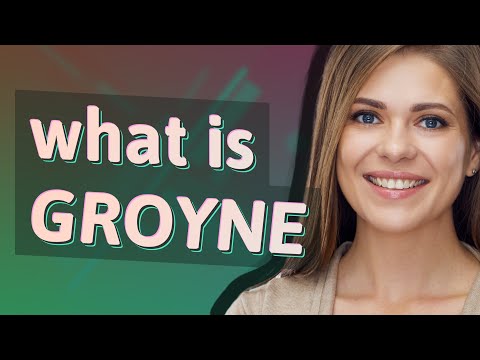 Groyne | meaning of Groyne