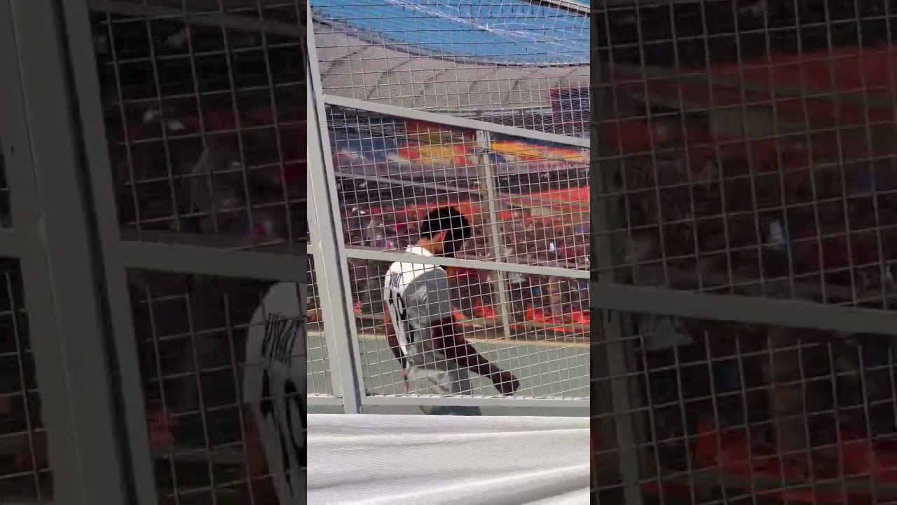 IND vs AUS, 4th Test, Day 4 | Kohli’s 186 puts India ahead by 88 runs #indvsaus #shorts