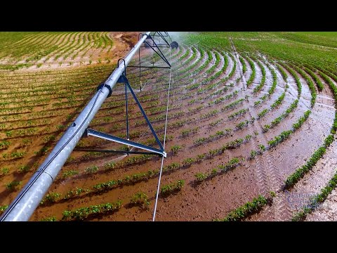 Camp Hand Offers Advice on Irrigation