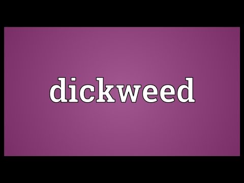 Dickweed Meaning