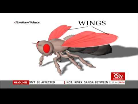 RSTV: A Question of Science : EP - 12