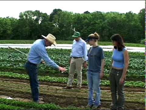 Career: Soil Scientist