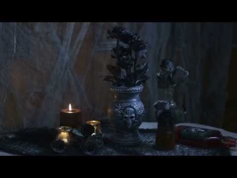 Wilting Black Roses