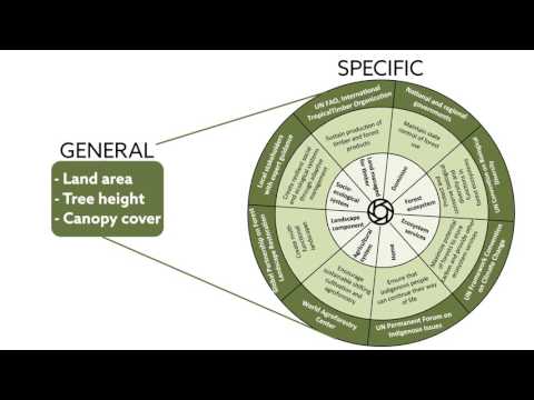 Seeing the Definition Through the Trees: A Framework for Redefining Forests