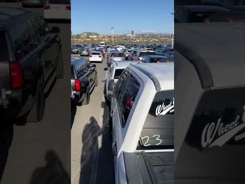 A wholesale Carmax auction lot.