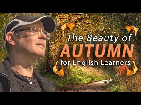 What is Autumn? 🍁 / Learning English - The Beauty of the Autumn Season (( With Captions ))