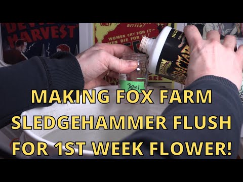 I'm making 3 gallons of 1st week flower flush using Fox Farm Sledgehammer & rainwater I've collected
