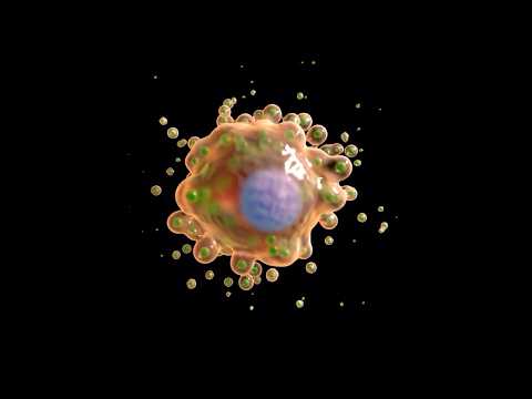 Cell secreting vesicles