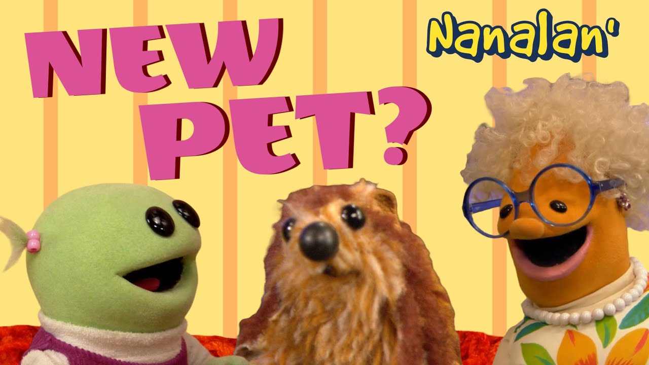 CHIPMUNK IN THE HOUSE - nanalan' #111 - Mona learns where things belong