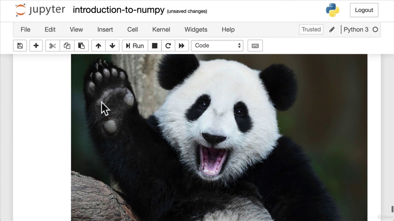 60 Turn Images Into NumPy Arrays | NumPy