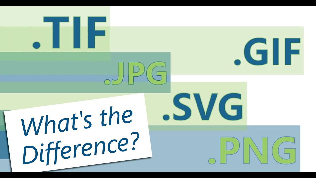 The Different Image Types