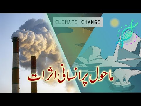 Human Impact on Environment (Urdu Dubbed)