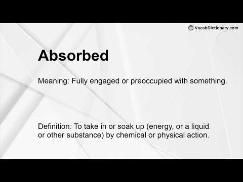 Absorbed Meaning