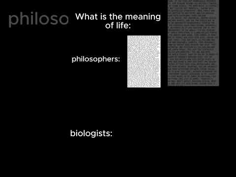 What is the meaning of life