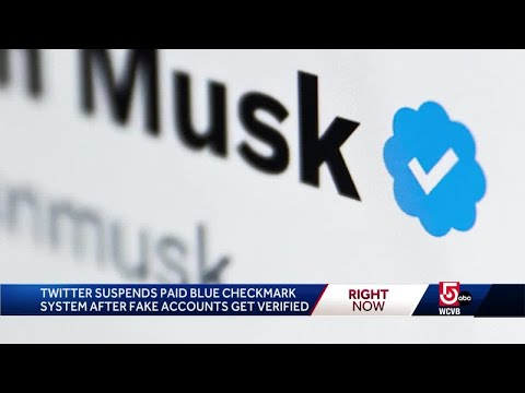 Twitter suspends paid blue checkmark system amid fake account turmoil