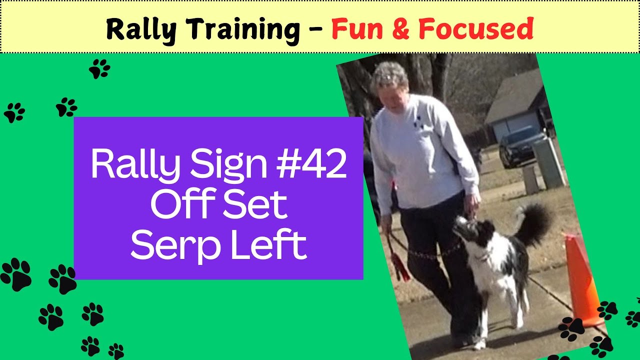 Rally Sign #42 Off Set Serpentine Left - Training Fun & Focused ...