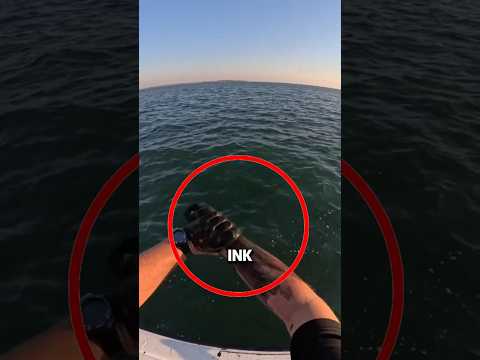 When a Squid's Ink Turns Into a Permanent Tattoo! 😱