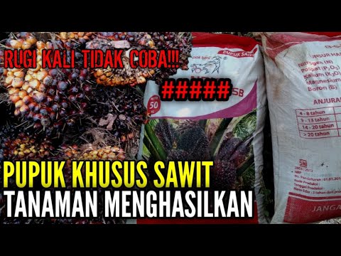 Pupuk NPK Pak Tani 13-6-27-4+0.65 B