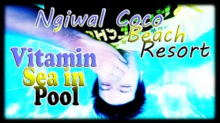 10 Things to Do in Ngerbeched Beach, Ngiwal Palau | Gems.Travel