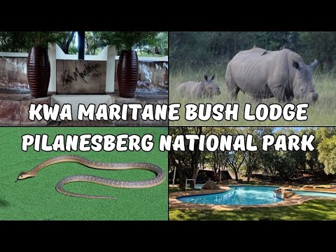 Kwa Maritane Bush Lodge, South Africa