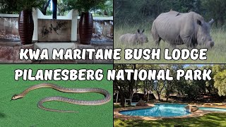 Kwa Maritane Bush Lodge, South Africa