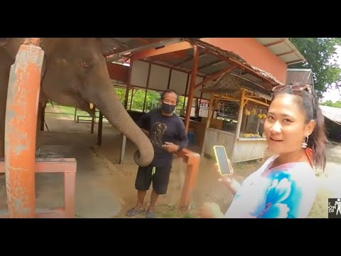 DATE WITH MY NEW THAI GIRLFRIEND (EPISODE 15)