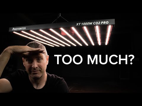 Photontek XT 1000W CO2 PRO | Increase yield from your 5 x 5 by 50%
