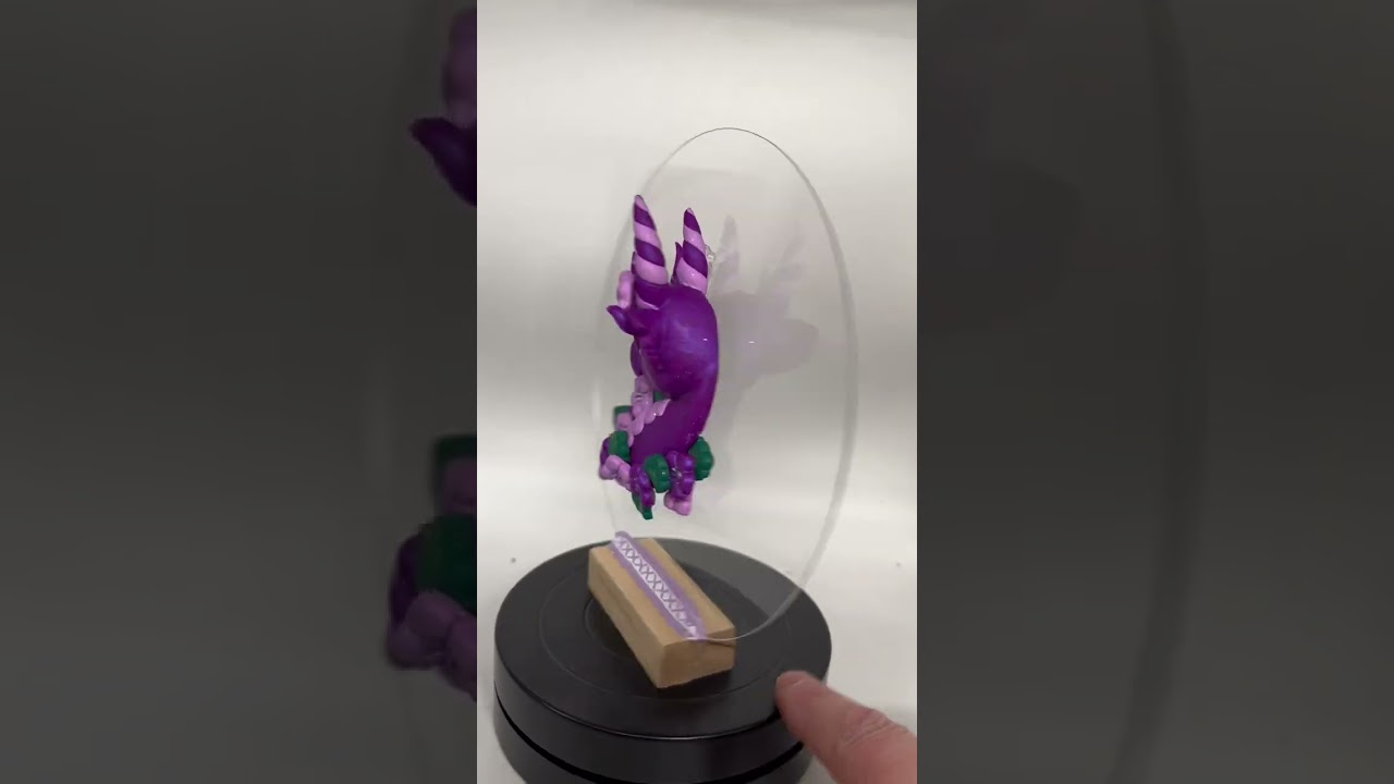 purple dragon display