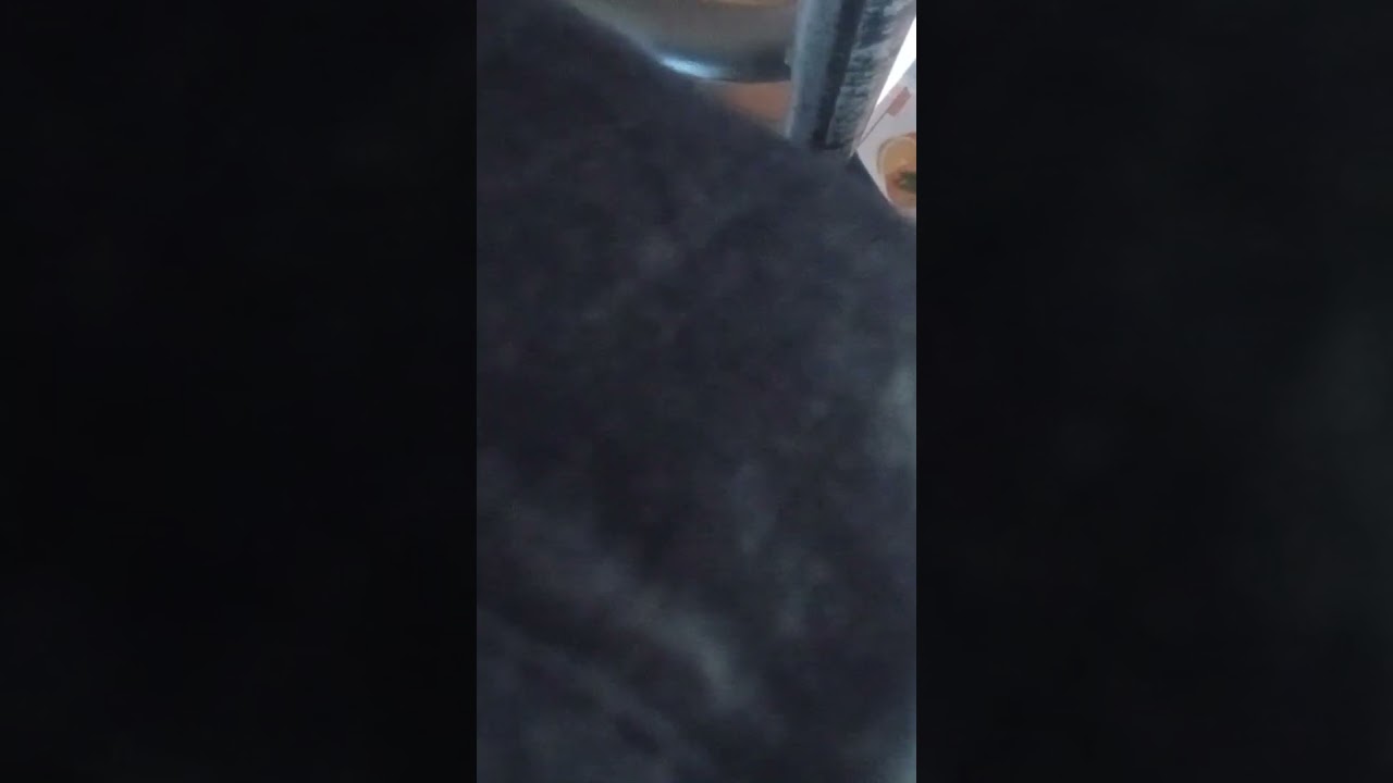 Qirl trample phone