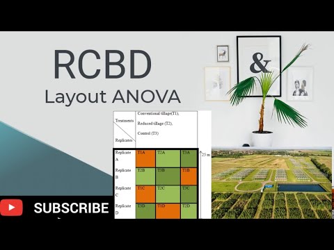 Randomize Complete Block Design (RCBD) Layout ANOVA with Example