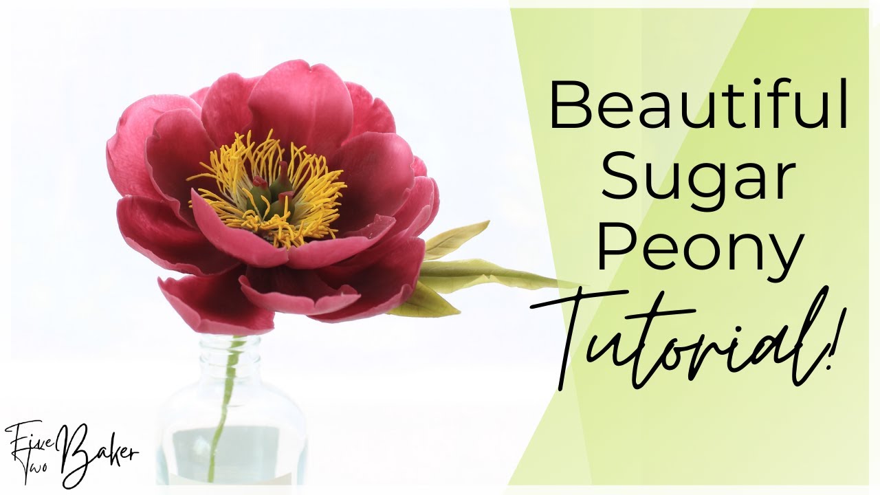 Sugar Peony Tutorial Part 1 ⎸How to Make a Gumpaste Peony