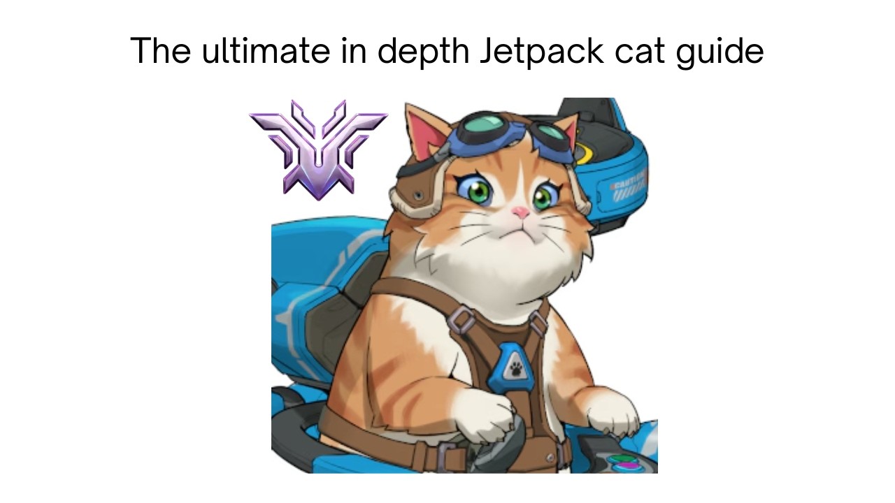 The ultimate in depth Jetpack cat guide