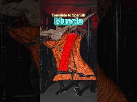 MUSCLE Definition to SPANISH | Medical