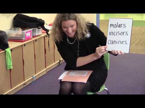 Video 31: Non-Decodable Words (REL Southeast)