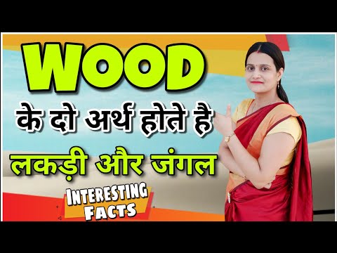Double Meaning Of Wood ! Homographs In English ! How To Learn Double Meaning Words In English