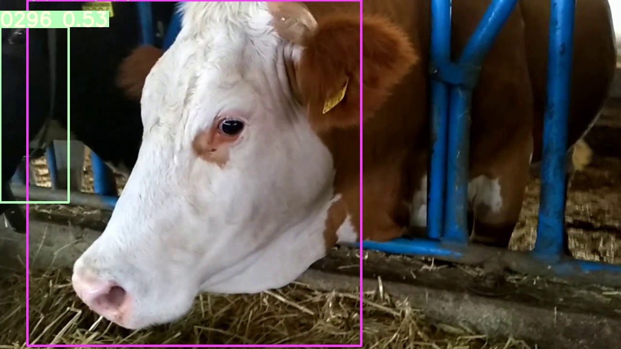 Identifying Livestock with YOLO V3 Object Detection using PyTorch