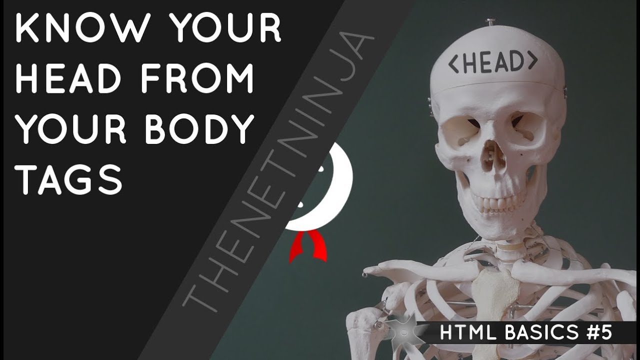 HTML Tutorial for Beginners 05 - Head and Body Tag