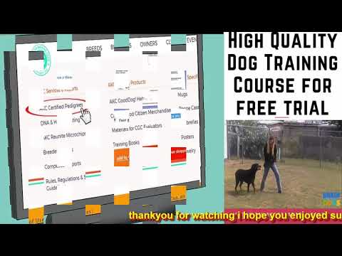 how to find a dog by akc registration number check