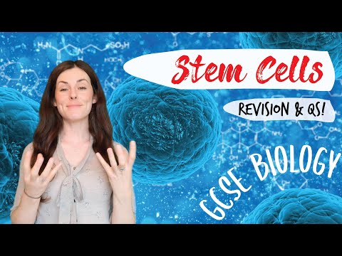 Stem Cells and Questions Video Lecture - Biology for Grade 10