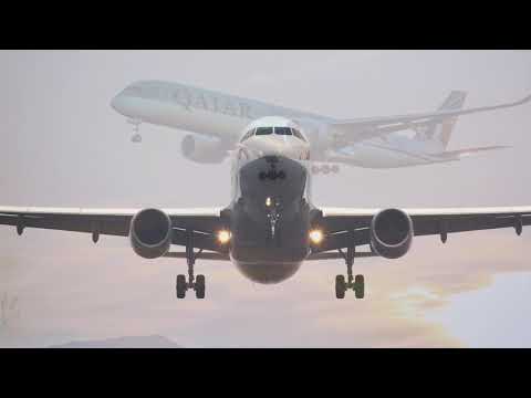 Dream About Airplane: What Dream About Airplane Means -  [Is it bad?]