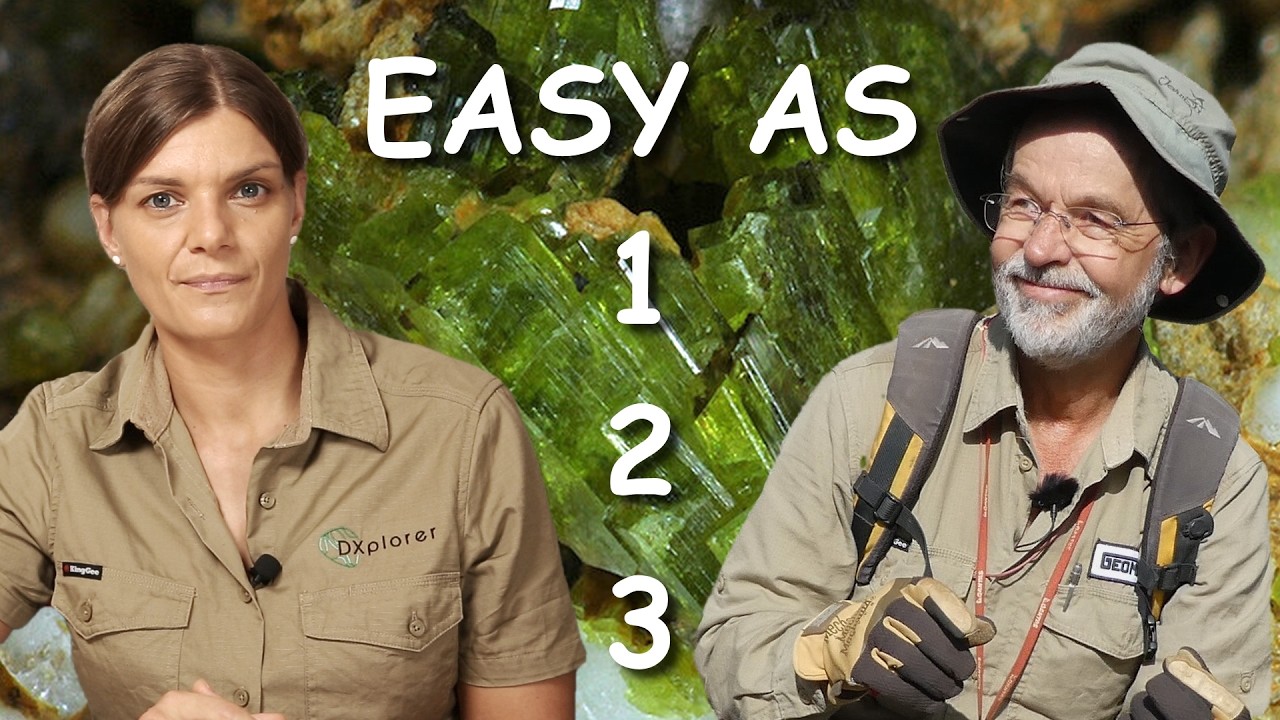 Alteration Mapping System