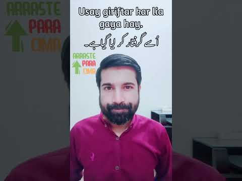 Describe "Arrest" and "Bail" in Urdu/Hindi
