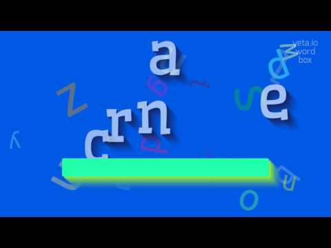 How to say "carne"! (High Quality Voices)