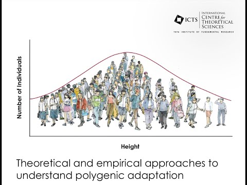 Understanding a Flower Colour Hybrid Zone - From a Polygenic Perspective (Lecture 4) by Nick Barton