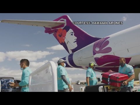Hawaiian Airlines is hiring statewide